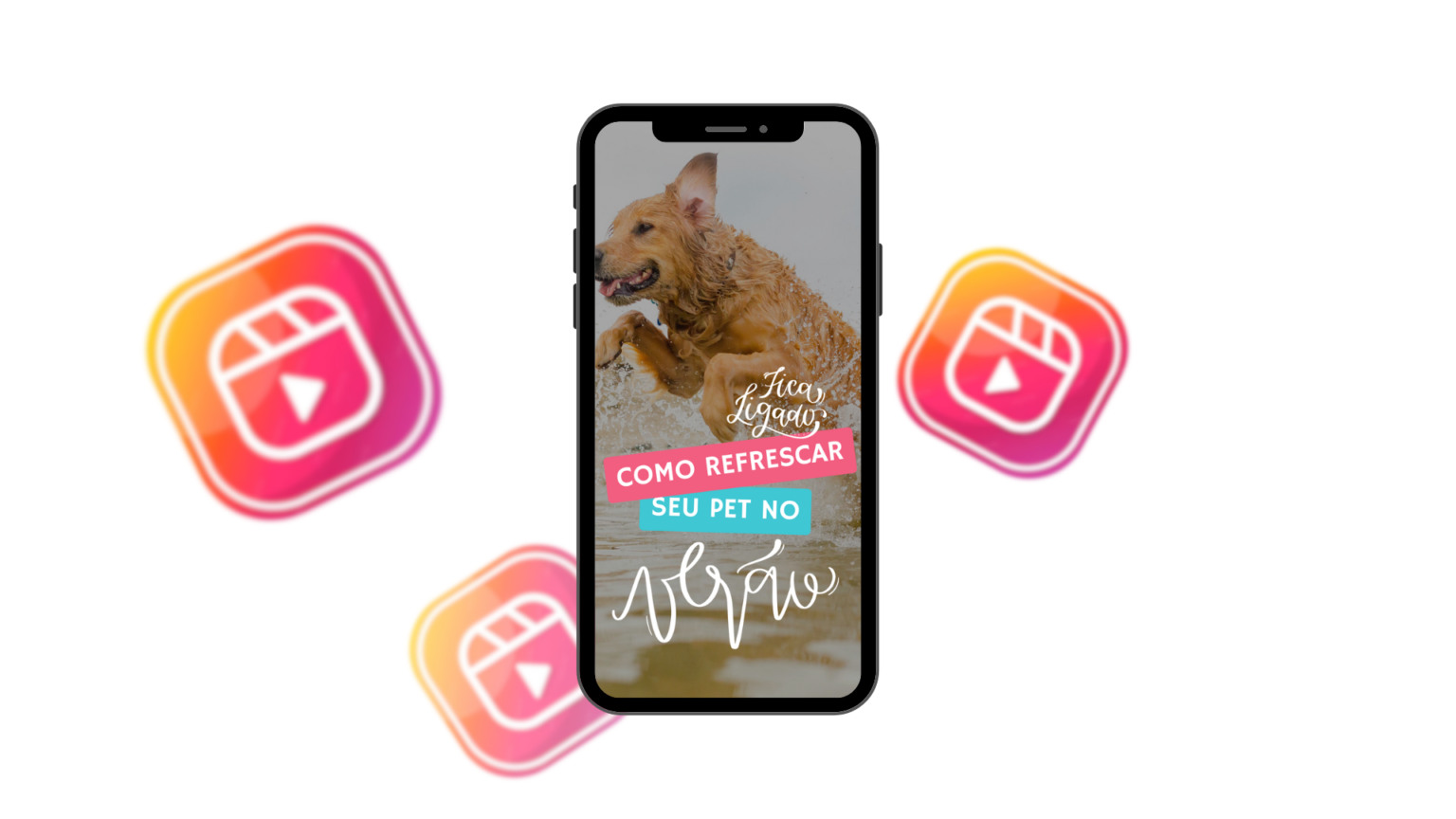 Pack Nutripet – Tenha um perfil de destaque no instagram com mais de 60 posts prontos para postar!