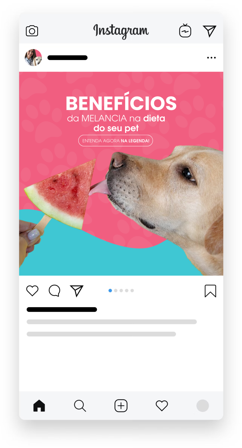 Pack Nutripet – Tenha um perfil de destaque no instagram com mais de 60 posts prontos para postar!